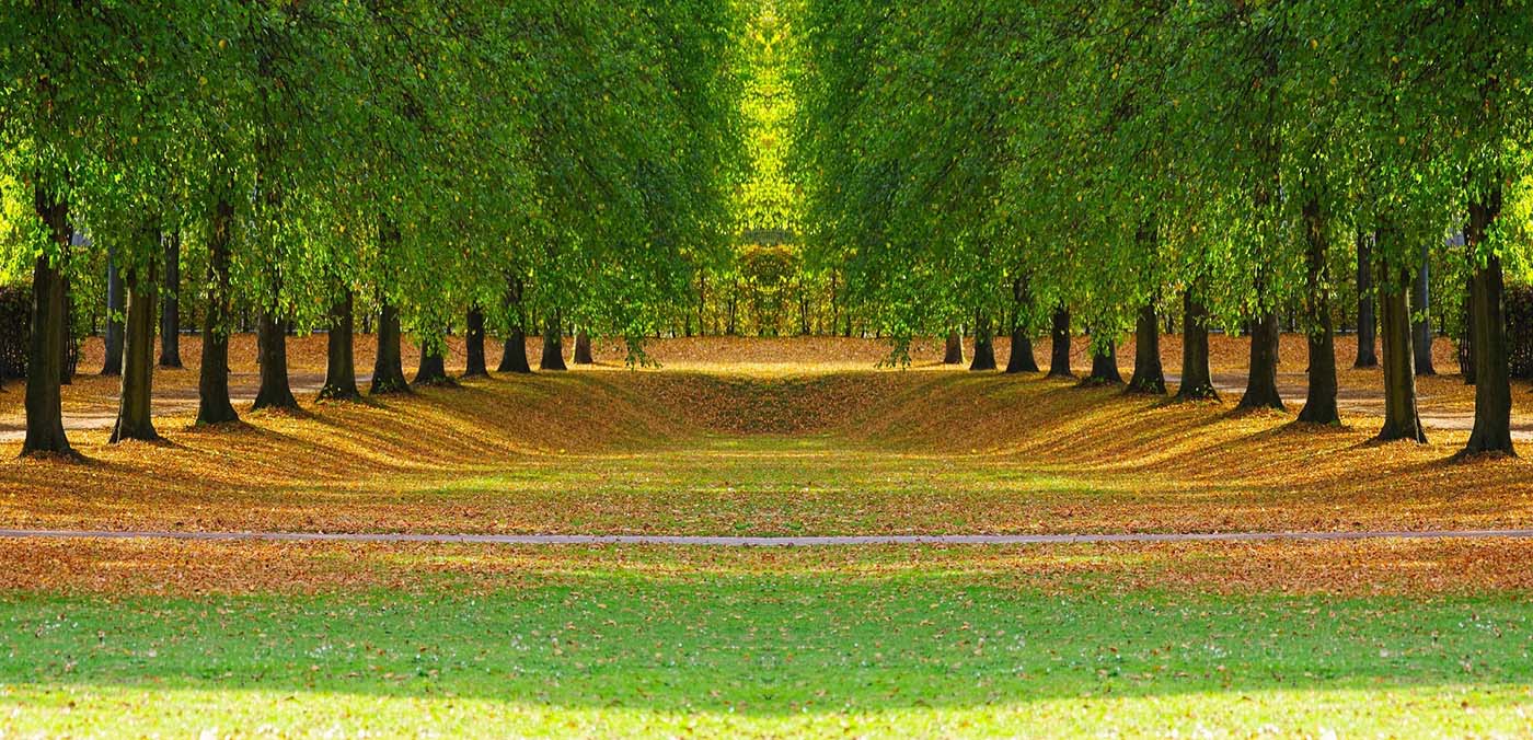 AI-Powered Energy Optimization. Unlock Cost Savings.